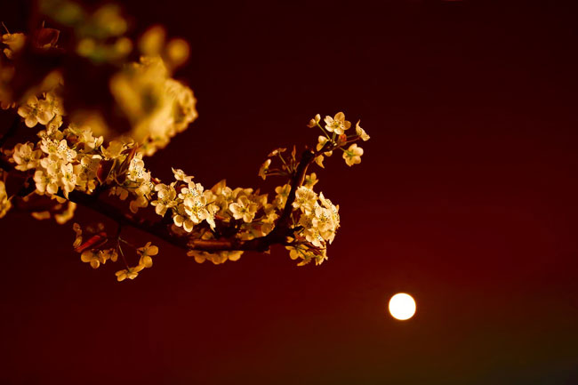 Calendario lunar de abril 2024 - Fases lunares